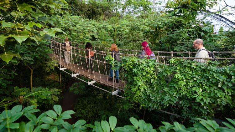 What's on | Eden Project