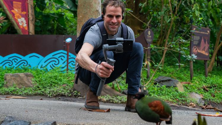 Live from the Rainforest! Eden Project’s online video streams reach ...