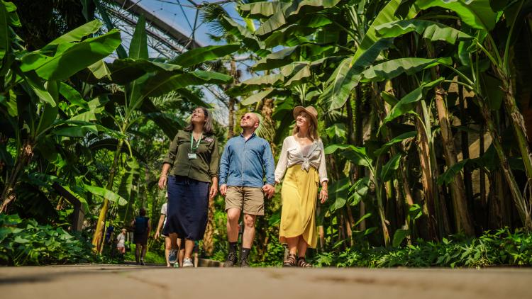 Book tickets | Eden Project