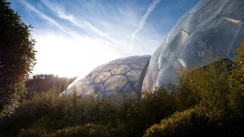 ∞ Blue (Infinity Blue) | Eden Project