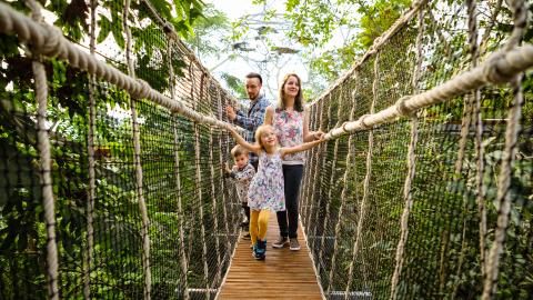 Directions to the Eden Project | Eden Project