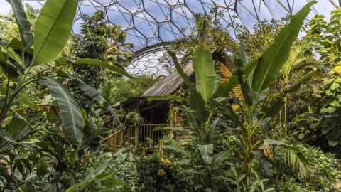 Teaching resources | Eden Project