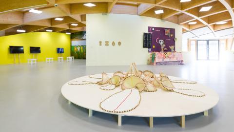 What's on | Eden Project