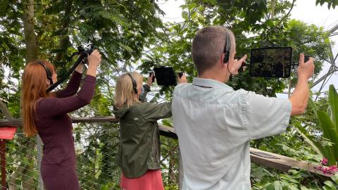 The Invisible Rainforest | Eden Project
