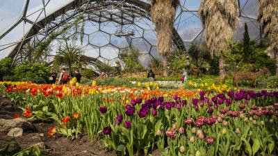 Visit Eden | Eden Project