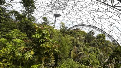 Visit Eden | Eden Project