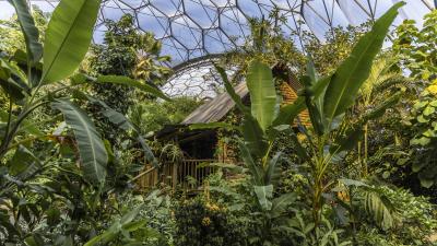 Teaching resources | Eden Project