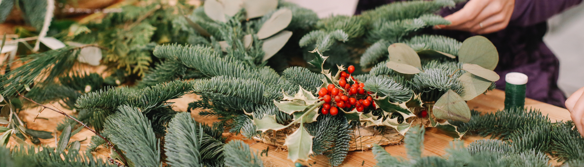 Winter workshops | Eden Project