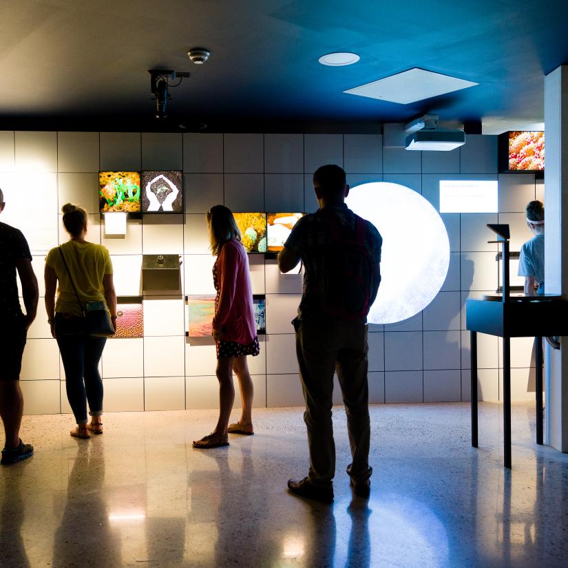 Invisible Worlds exhibition | Eden Project