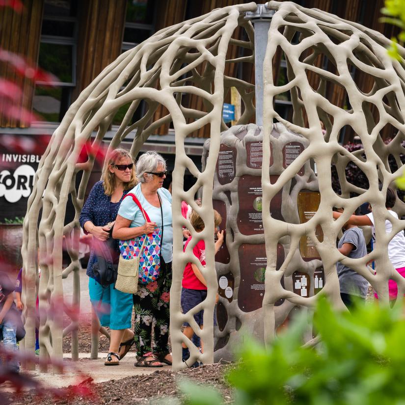 Invisible Worlds exhibition | Eden Project