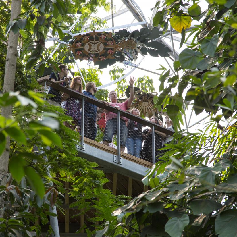 Become a Patron | Eden Project