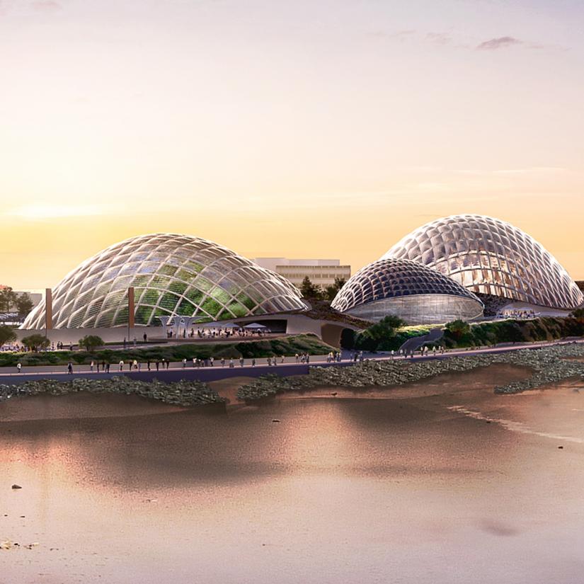 How can I make a difference in the planetary emergency? | Eden Project