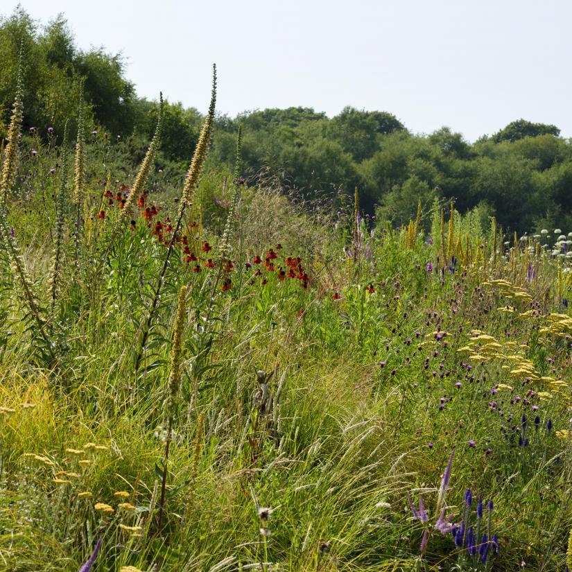 Annual Review 2022-23 | Eden Project