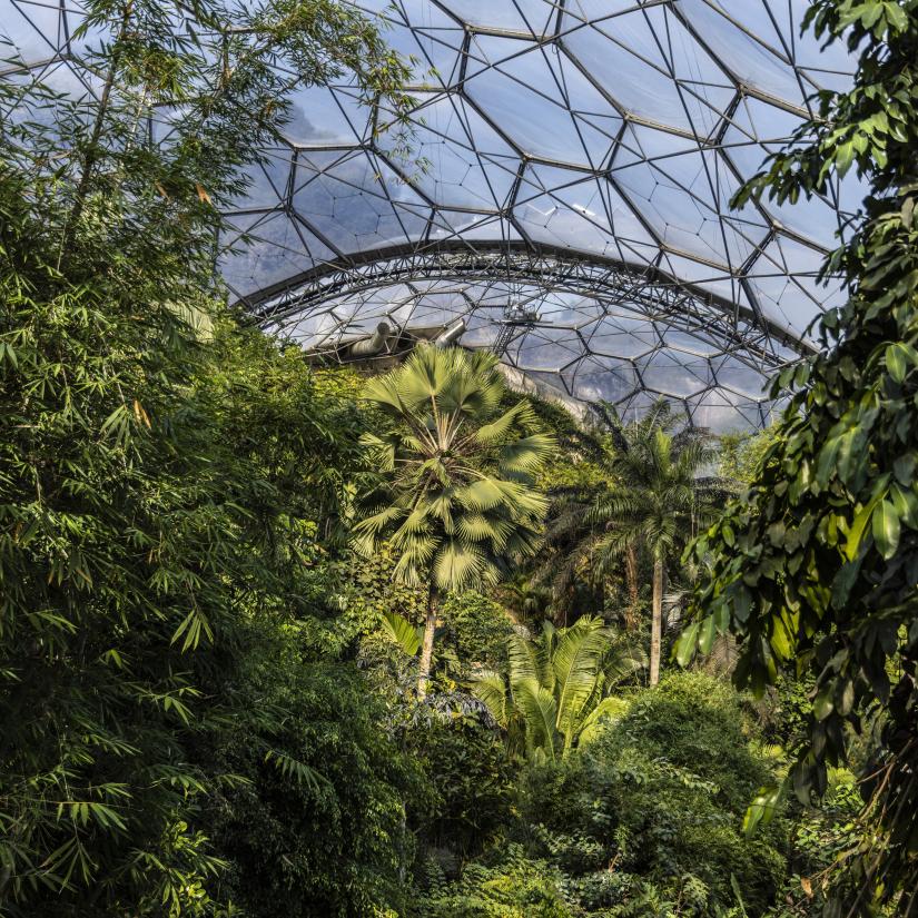 Becoming climate positive: Eden's journey | Eden Project