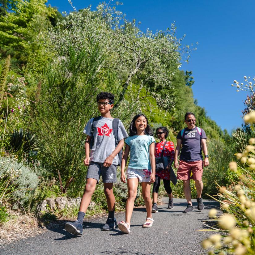 Eden Project Locals' Pass | Eden Project