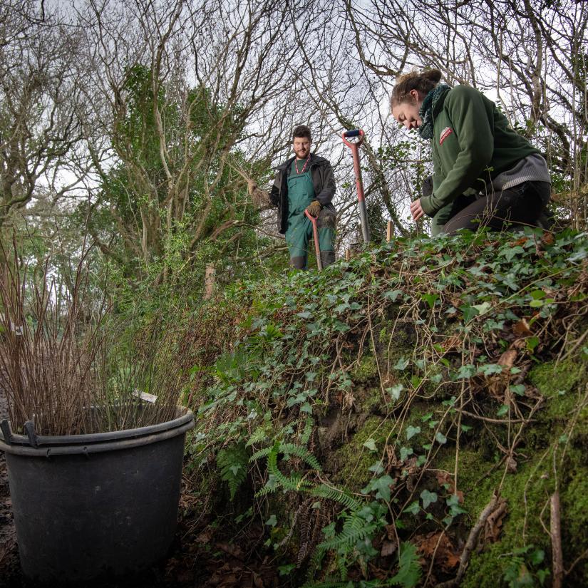 Annual Review 2023-24 | Eden Project