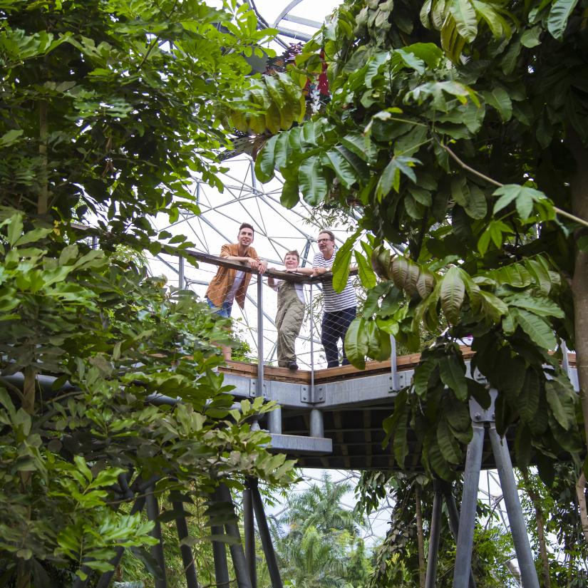 Adventure into autumn at Eden | Eden Project