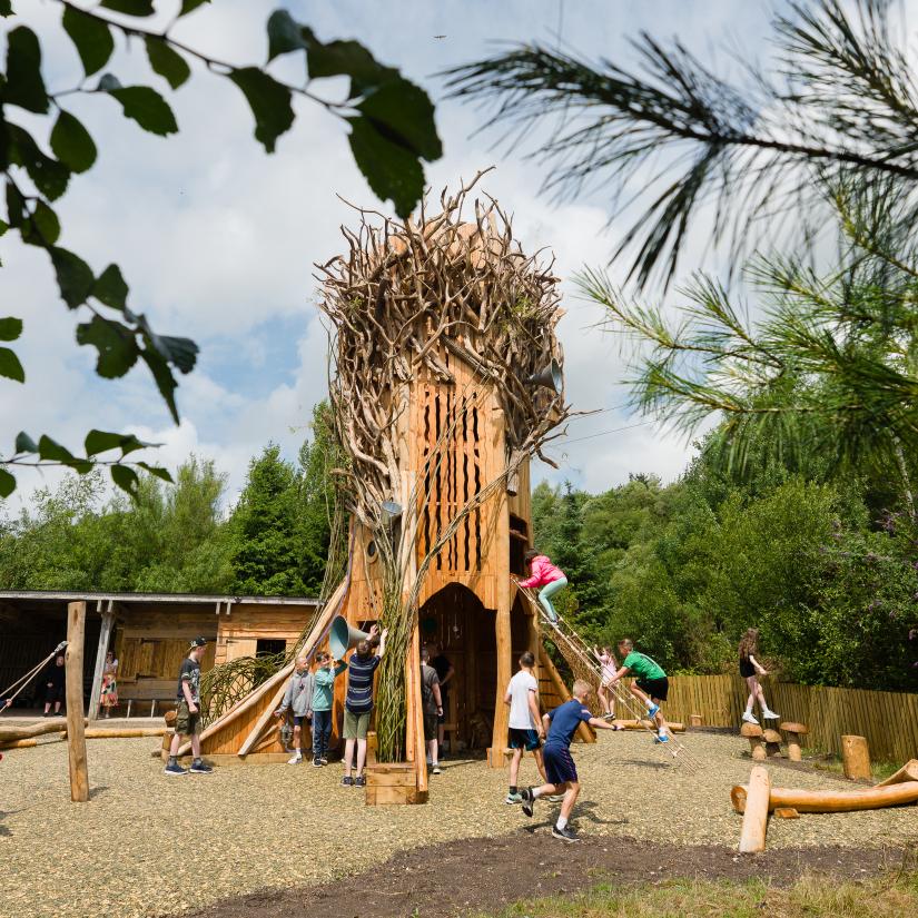 Nature's Playground | Eden Project