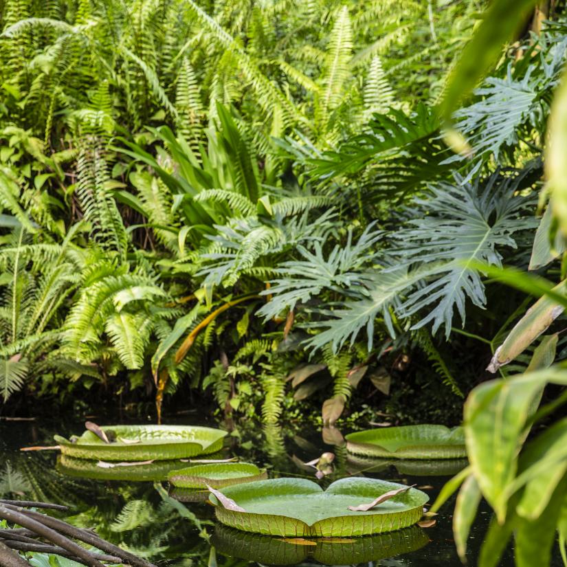 Eden has always been about transformation; now it's time our branding ...