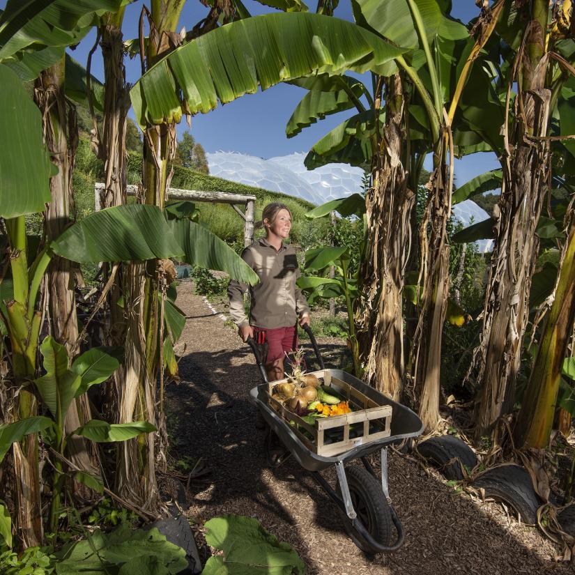 Premium Horticulture Experience | Eden Project