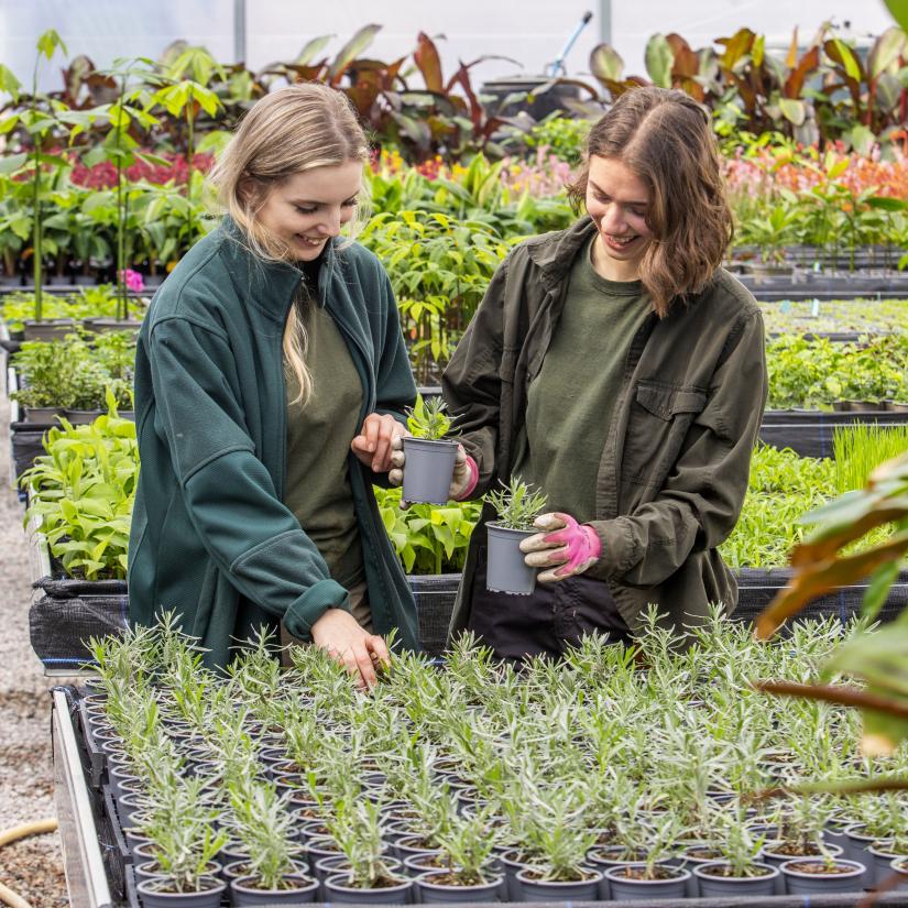 Premium Horticulture Experience | Eden Project