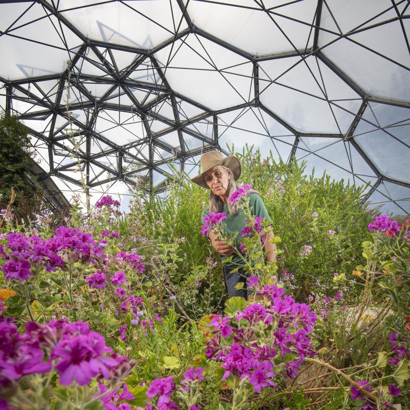 Premium Horticulture Experience | Eden Project