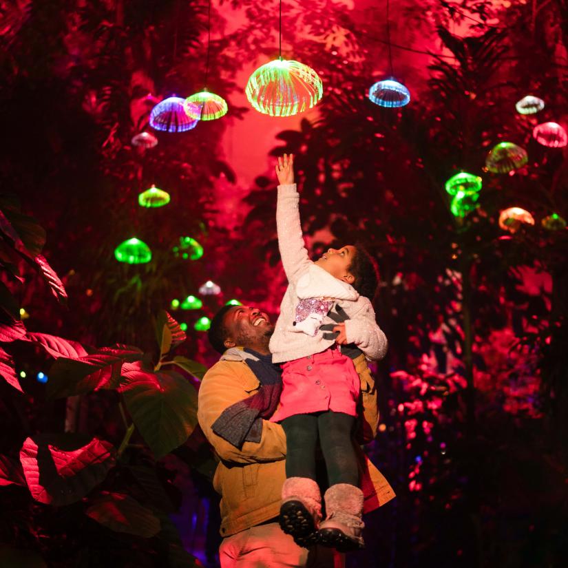 Eden Project Locals' Pass | Eden Project