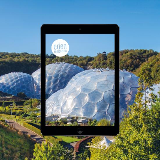 Renew your Eden Project Membership | Eden Project