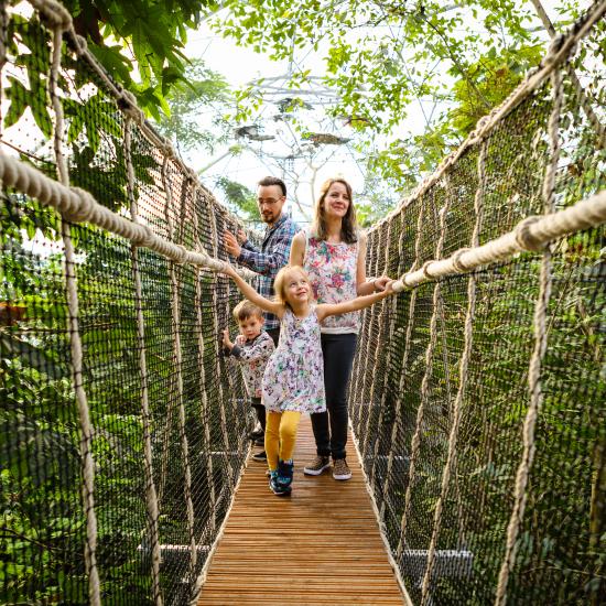 Corporate Membership | Eden Project