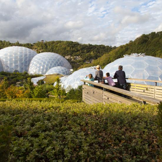 Summer at the Eden Project | Eden Project