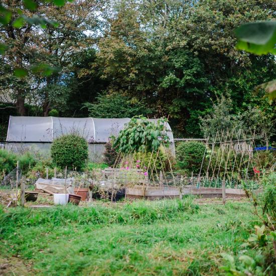 Nature Connections activities at the Eden Project | Eden Project