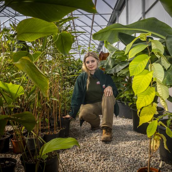 The Ultimate Eden Experience | Eden Project