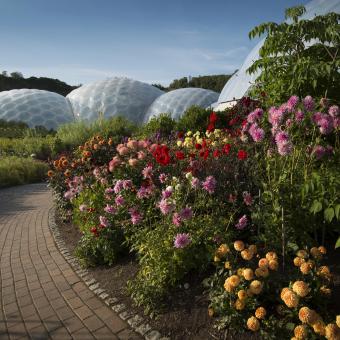 Plants and nature at Eden | Eden Project