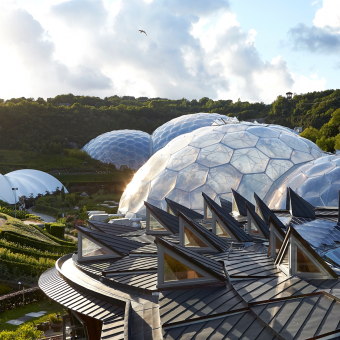 Teacher training and school development | Eden Project