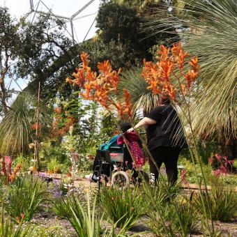 Visit Eden | Eden Project