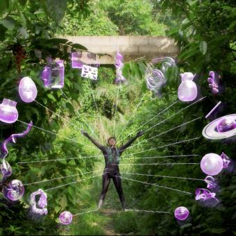 What's on | Eden Project