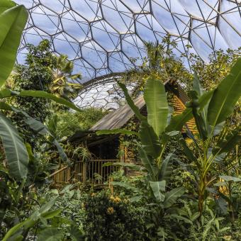 Eden Universe | Eden Project