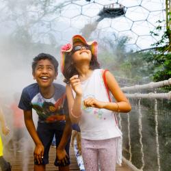 Visit Eden | Eden Project