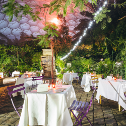 Christmas party packages | Eden Project