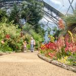 Visit Eden | Eden Project