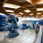 Things to do | Eden Project