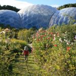 Visit Eden | Eden Project