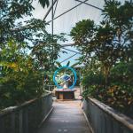 Visit Eden | Eden Project