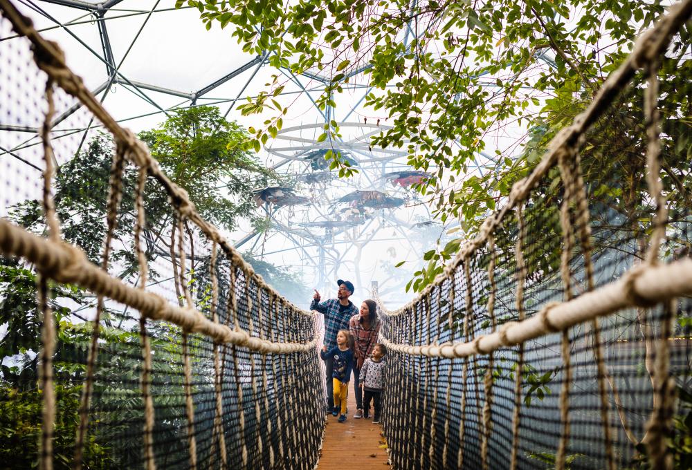 Our origins | Eden Project