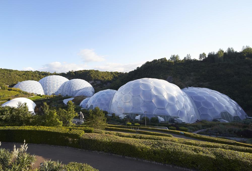 Other ways you can help | Eden Project