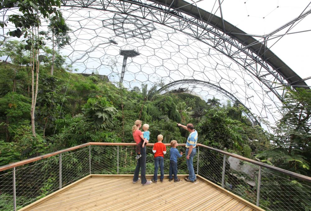 Our origins | Eden Project