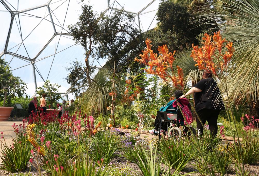 Planning your visit | Eden Project