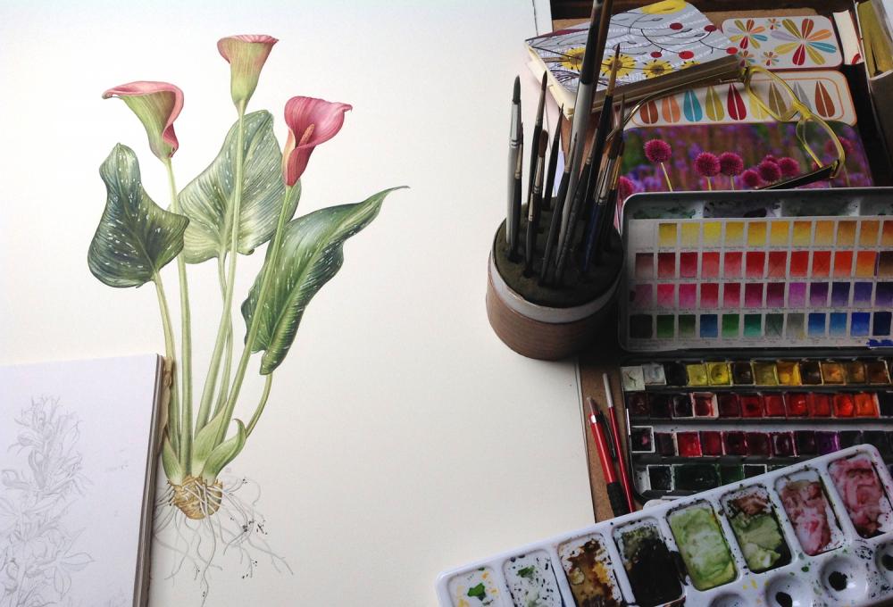 An Introduction to Botanical Watercolour | Eden Project