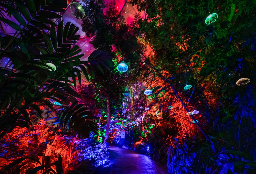 Christmas at the Eden Project | Eden Project