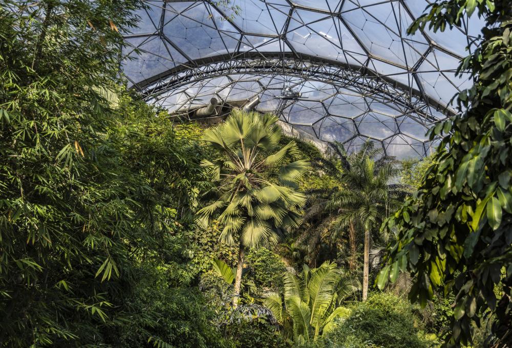 Eden Geothermal Energy Project | Eden Project